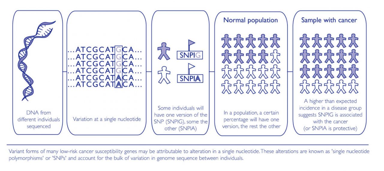 Genetics Breast Cancer | Causes of Hereditary Breast Cancer